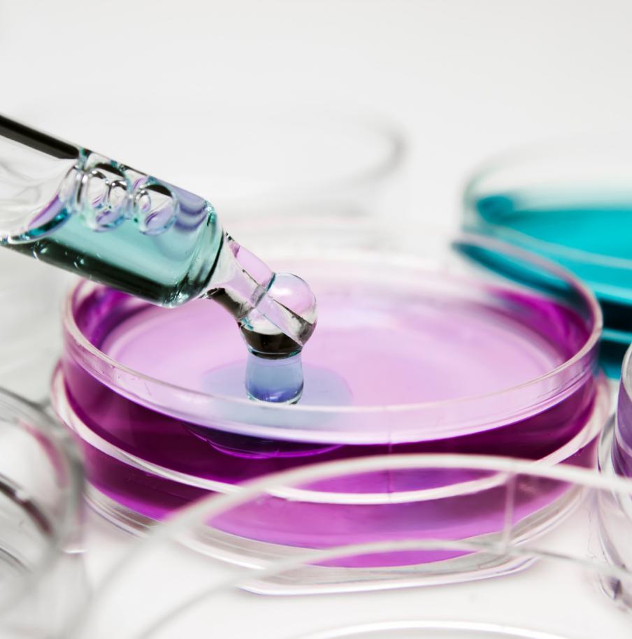Analytical lab - IMeBIO Laboratories Analytical lab - IMeBIO Laboratories