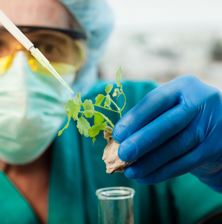 Analytical lab - IMeBIO Laboratories Analytical lab - IMeBIO Laboratories